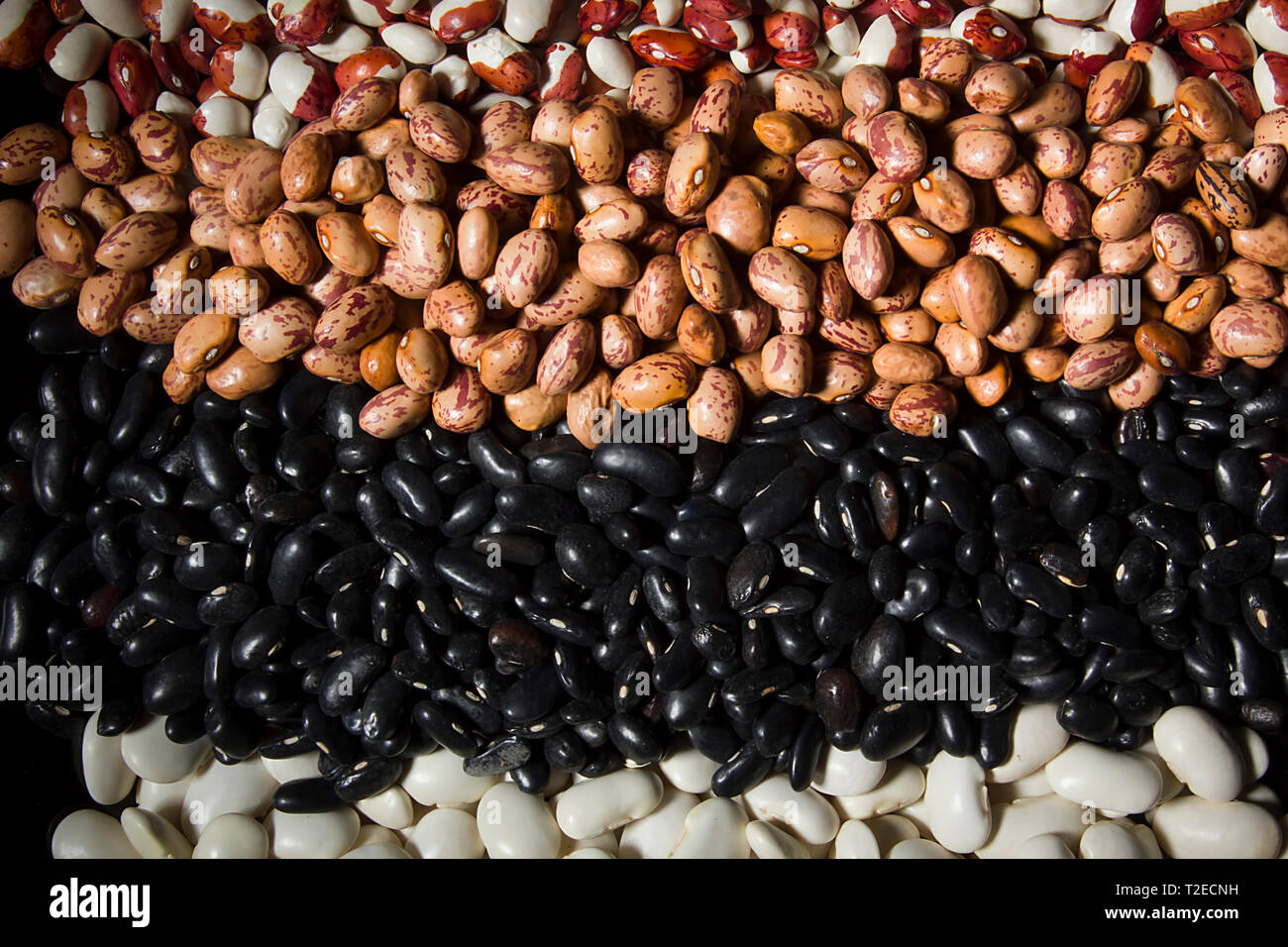 Mix of different in size and color of beans Stock Photo - Alamy