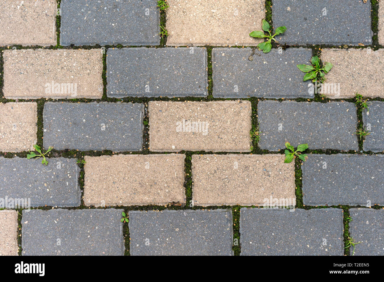 Beautiful background of multi-colored tiles Stock Photo - Alamy