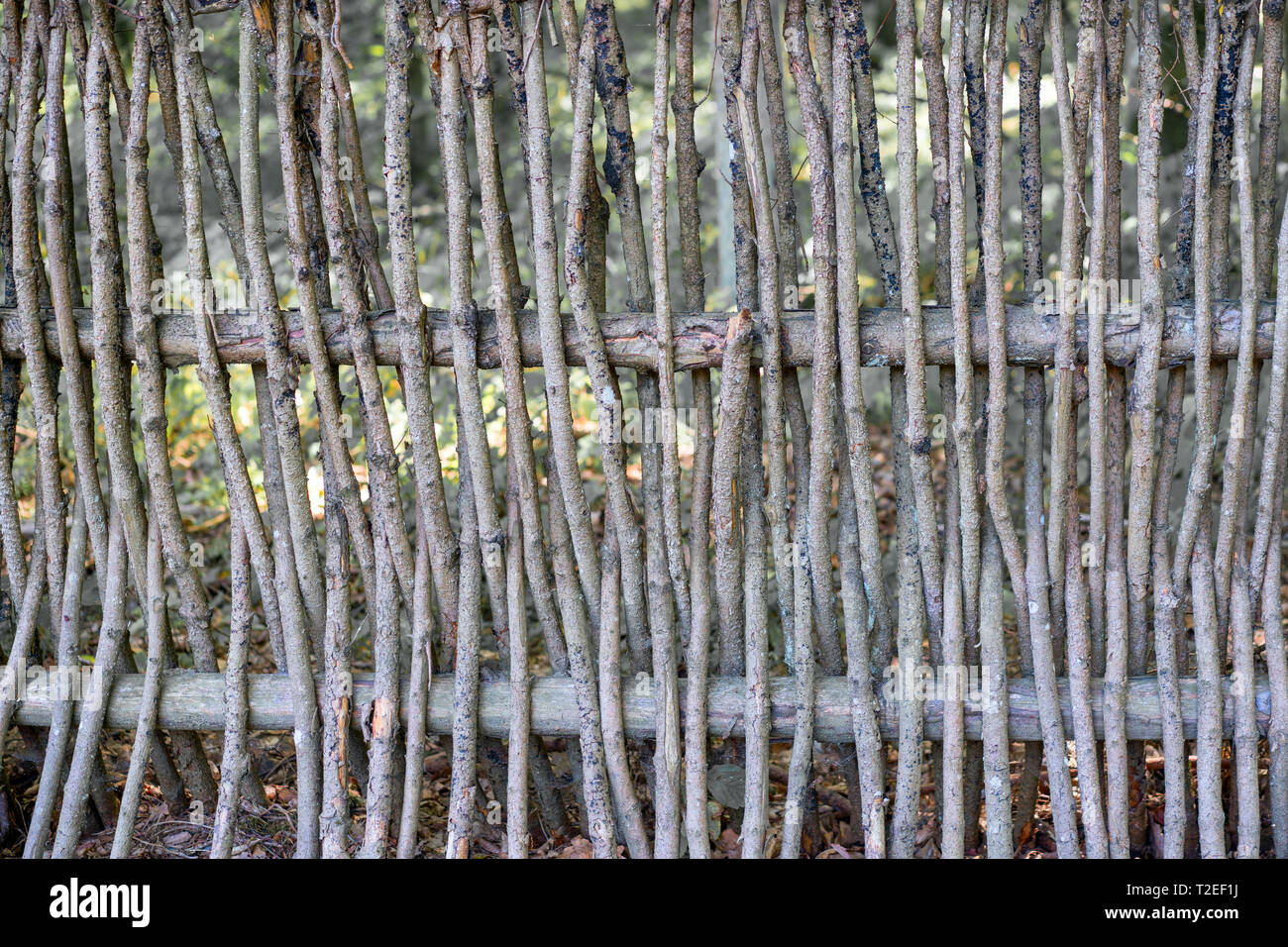 wall of willow twigs as background. Rural old fence, made from willow ...