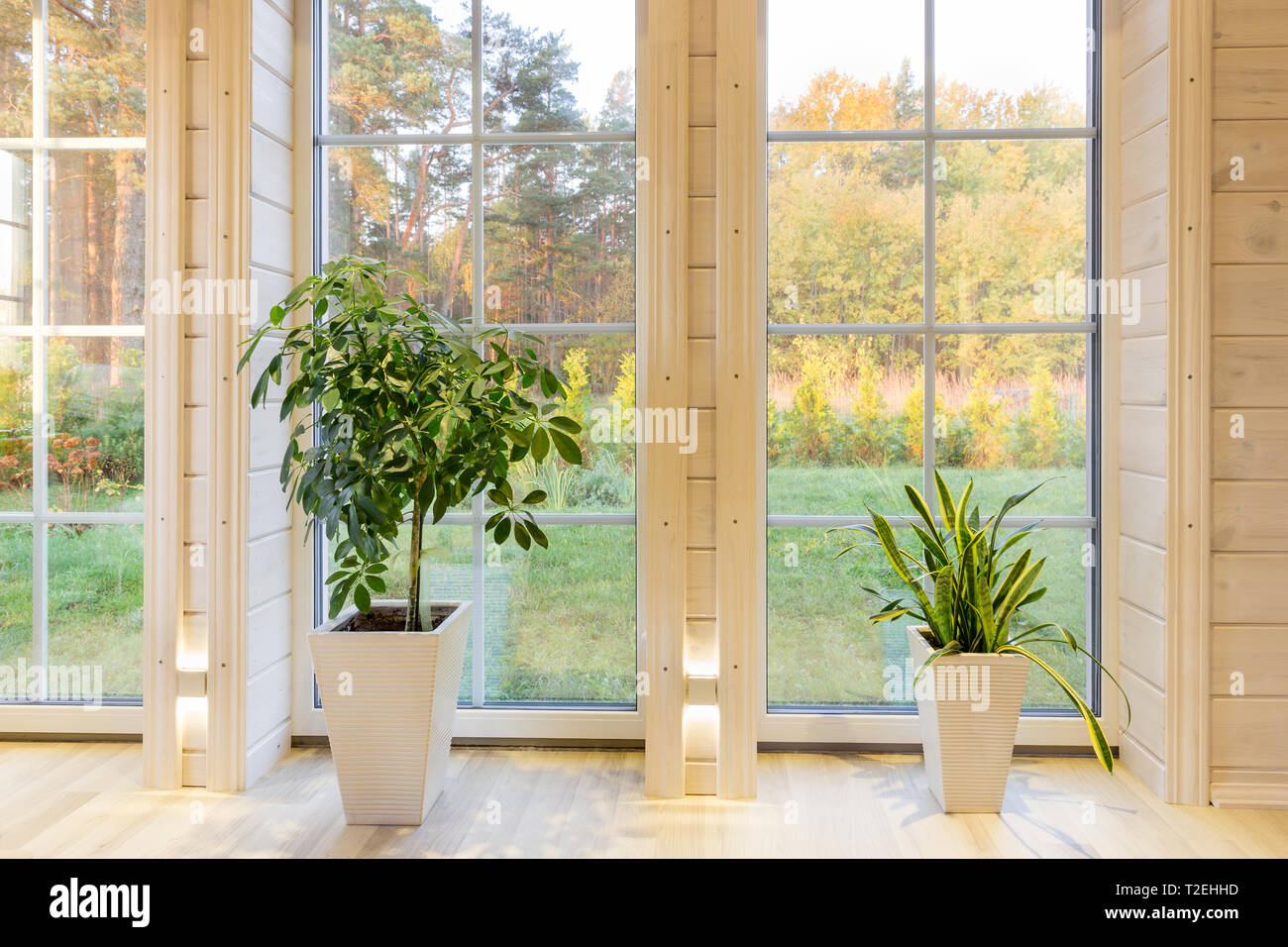 Bright photo studio interior with big window, high ceiling, white ...