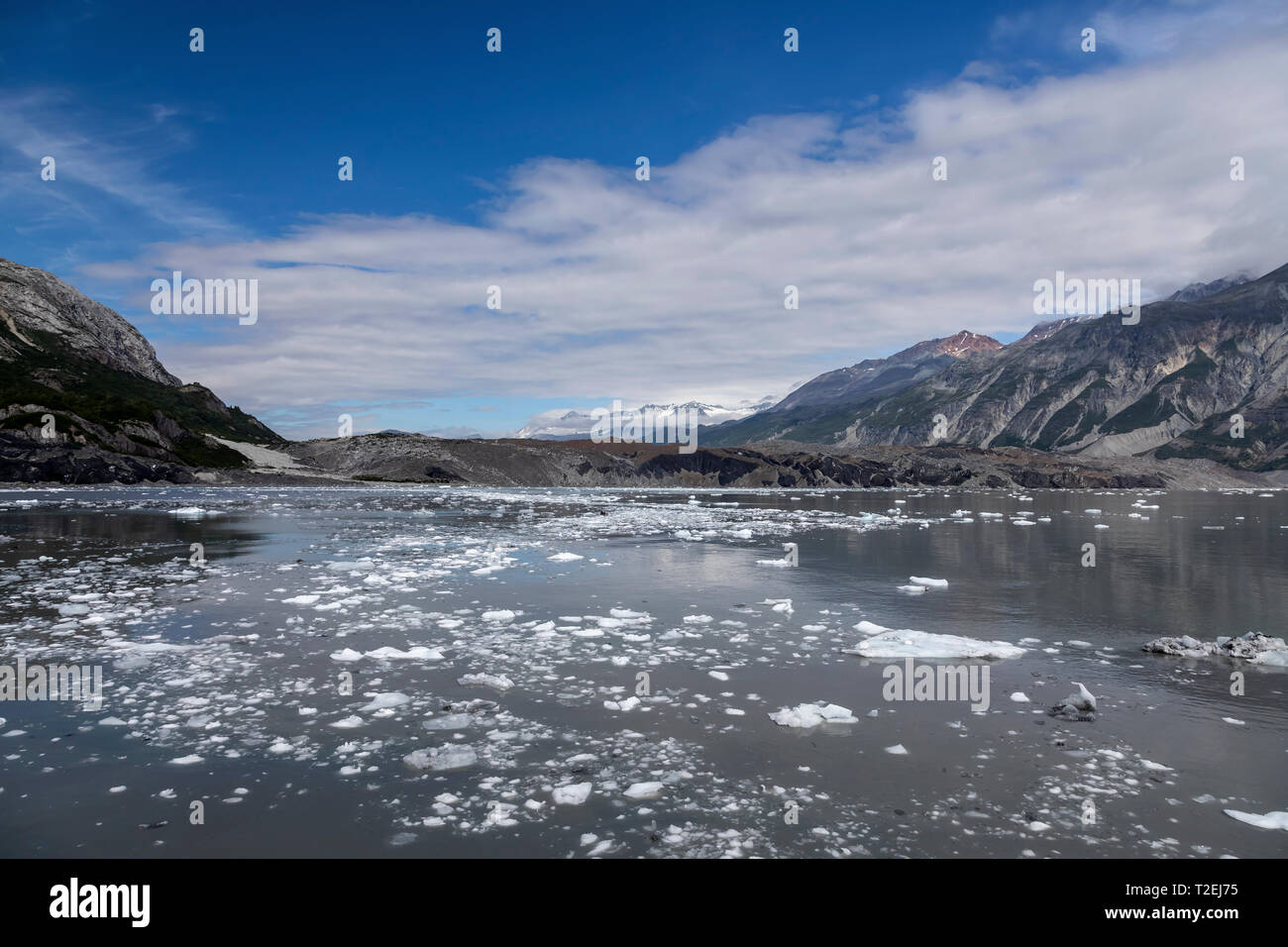 Grand Pacific Glacier in Tarr Inlet, Glacier Bay National Park, Alaska ...