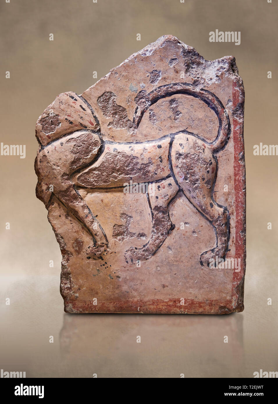 Phrygian relief plaque fragment depicting a lion . 8th-7th century BC ...