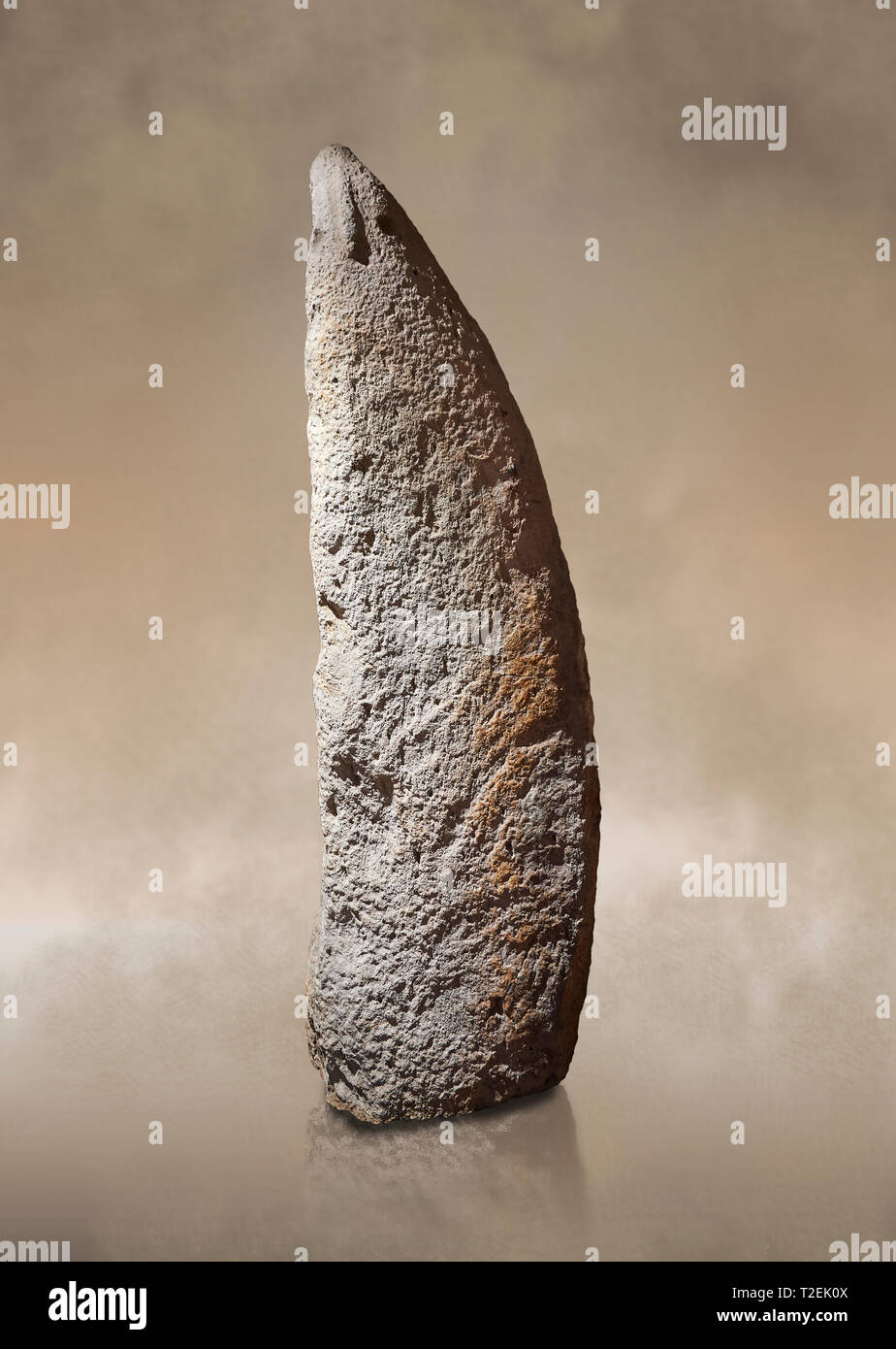 Late European Neolithic prehistoric Menhir standing stone with carvings ...