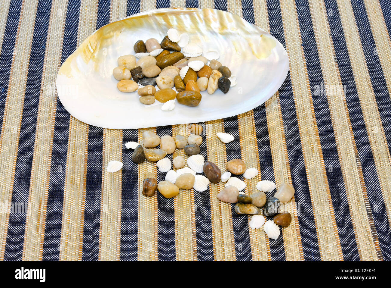 Shells rocks hi-res stock photography and images - Alamy