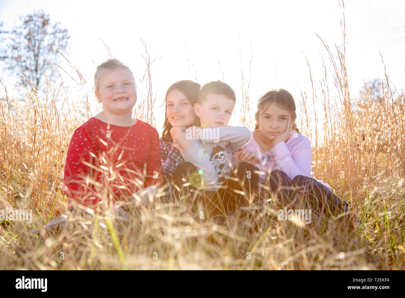 4 kids in a field Stock Photo - Alamy