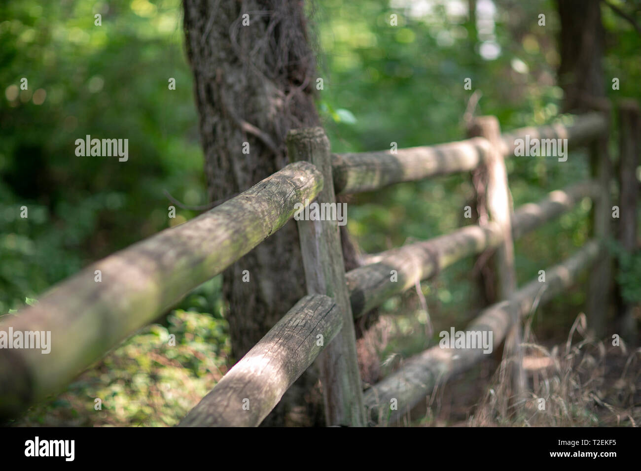 Fence section hi-res stock photography and images - Alamy