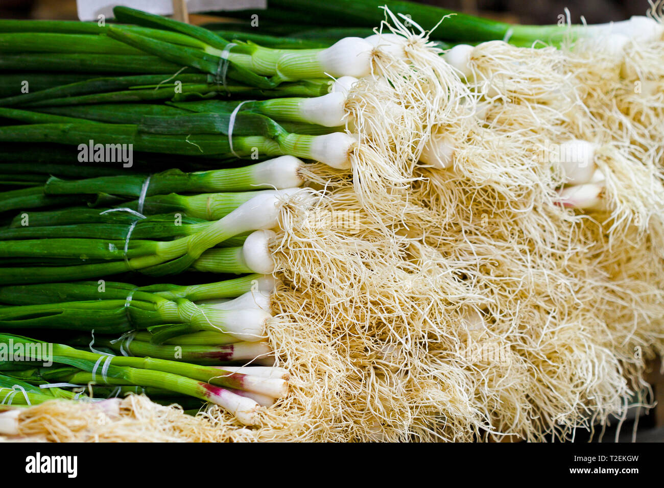 Bunch of green garlic on the market Stock Photo - Alamy