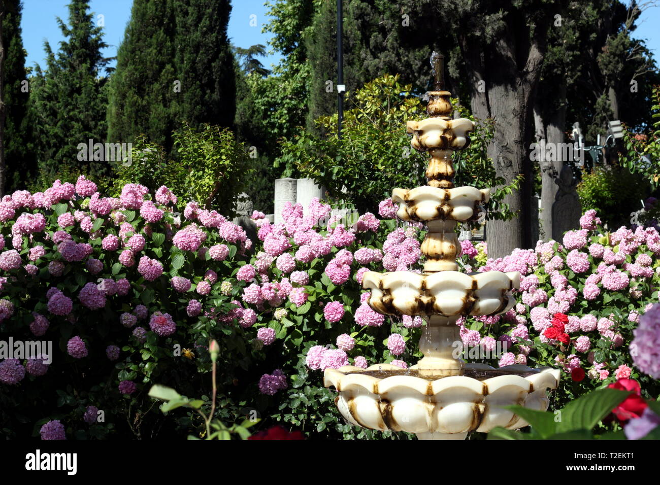 Ornamental pool hi-res stock photography and images - Alamy