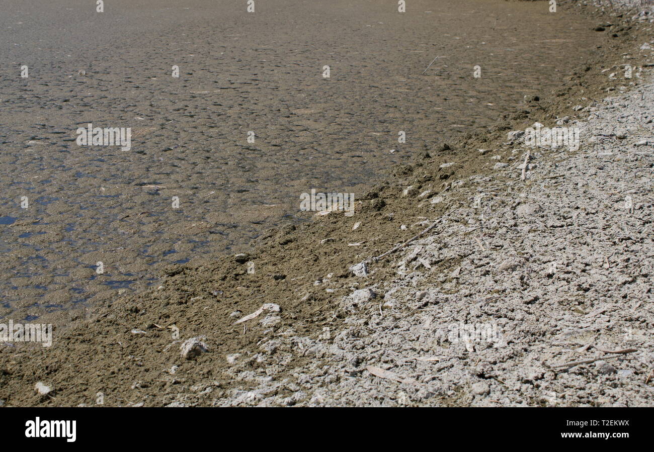 Drought Lake, Evaporating Lake Stock Photo - Alamy