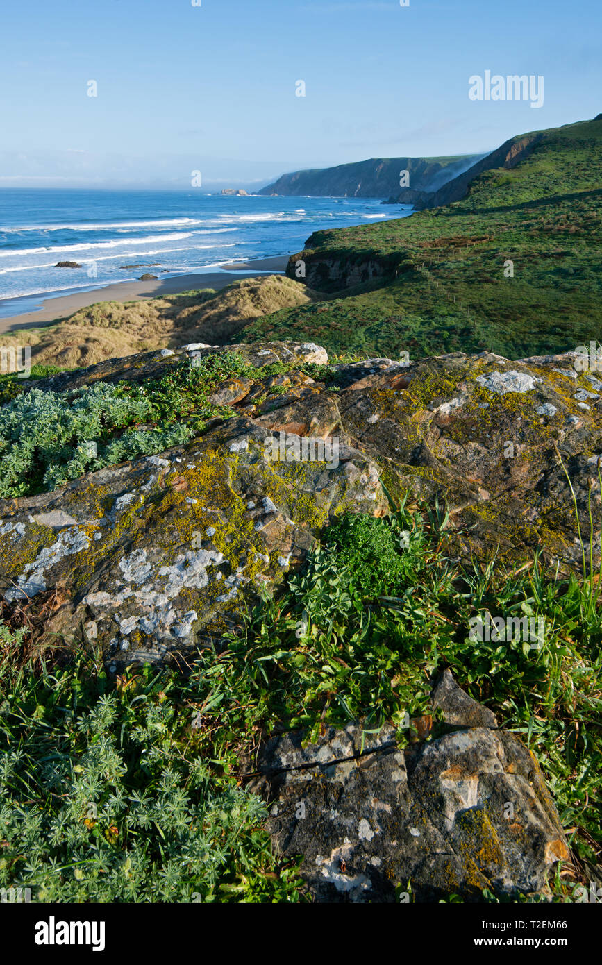 Kehoe hi-res stock photography and images - Alamy