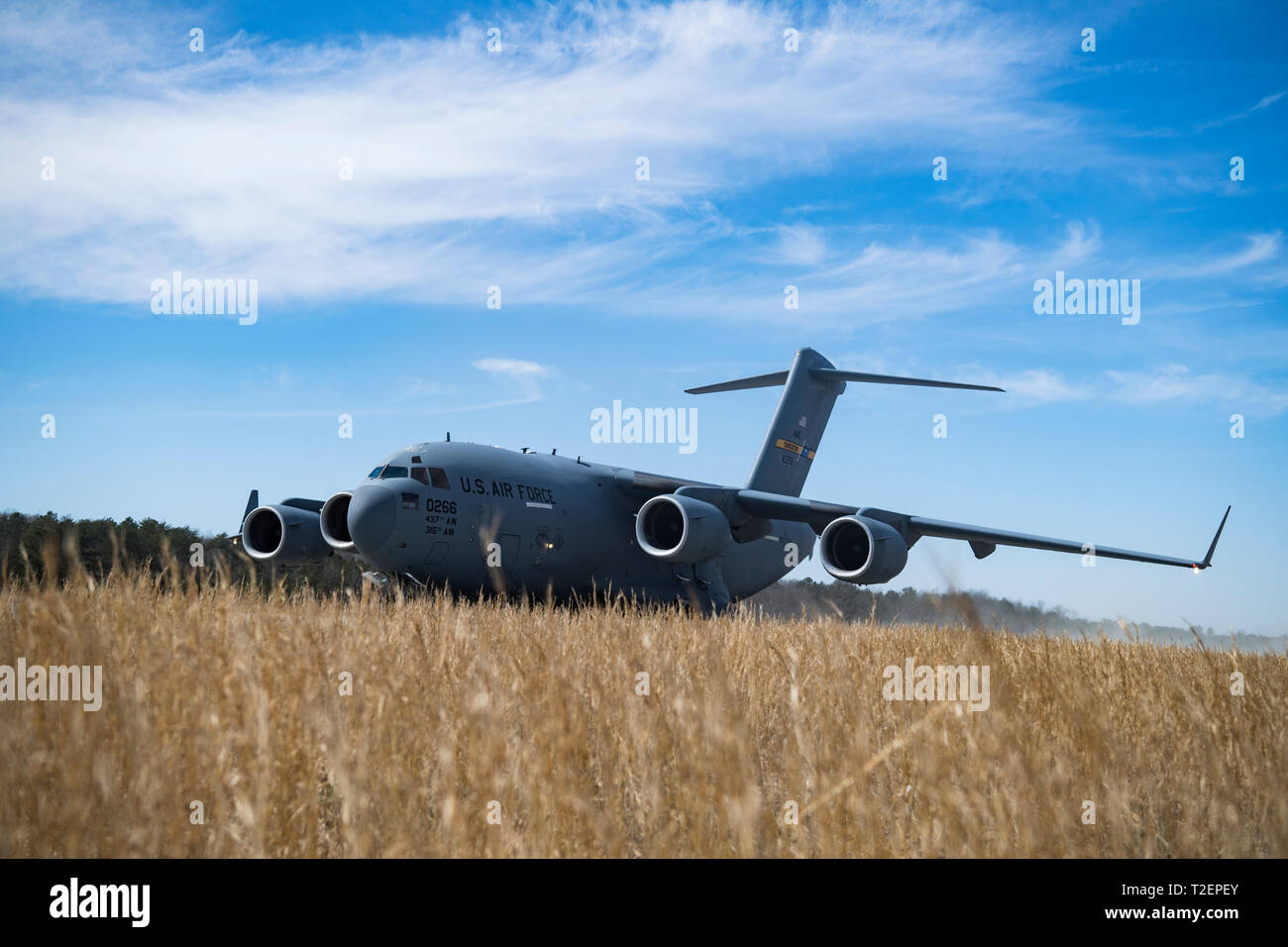 317th airlift squadron hi-res stock photography and images - Alamy