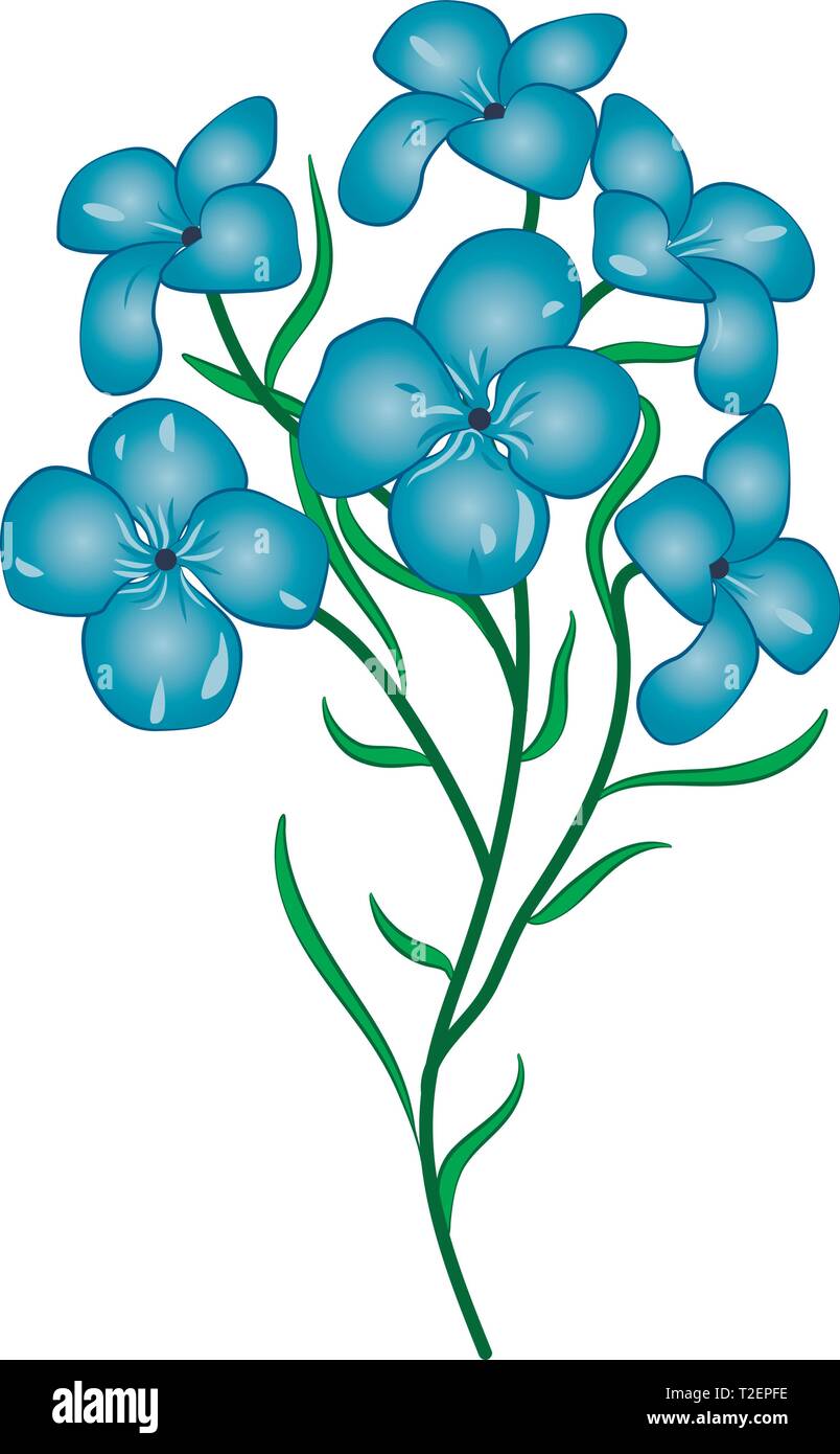 flax flower vector illustration on a white background Stock Vector ...