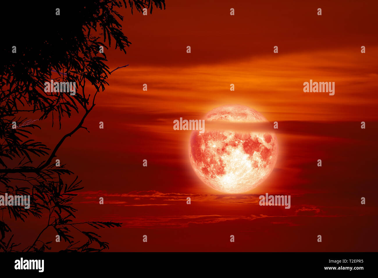 blood moon, long night moon back red cloud sunset sky, Elements of this ...