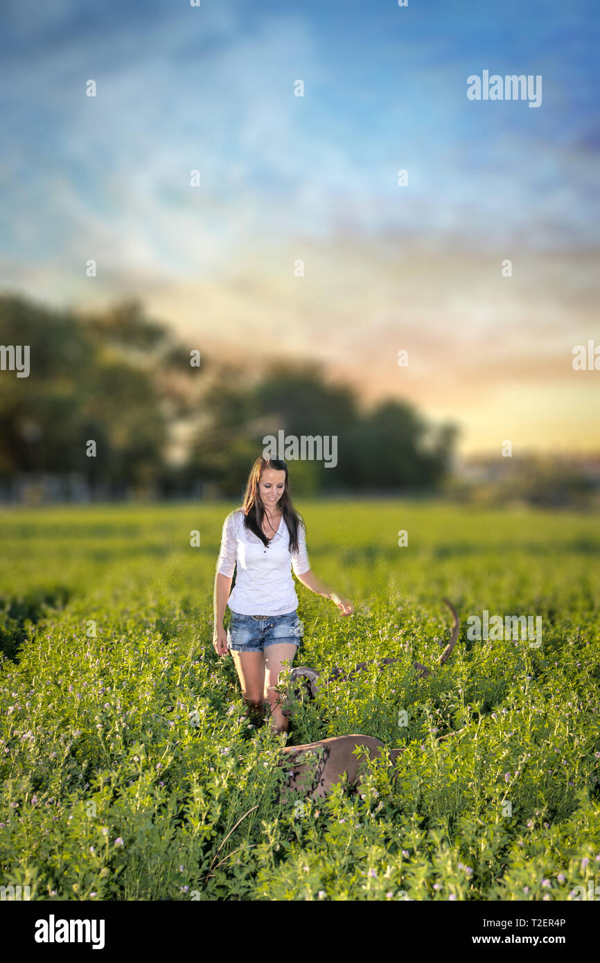 Farm girl with her dogs in a large open green field at sunset Stock ...
