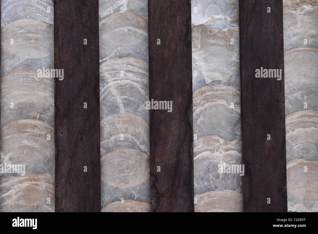Oyster shell construction hi-res stock photography and images - Alamy