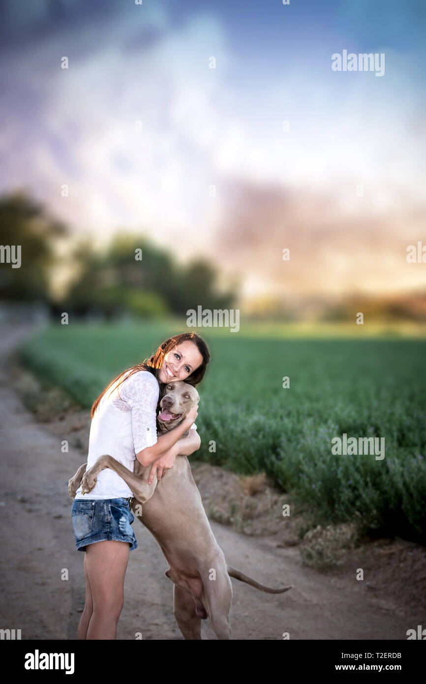 Weimaraner hound giving young woman a hug Stock Photo - Alamy