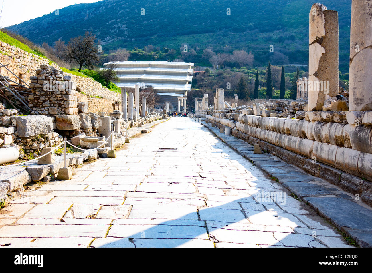 Ephesus ancient city Ephesus which was established as a port, was used ...