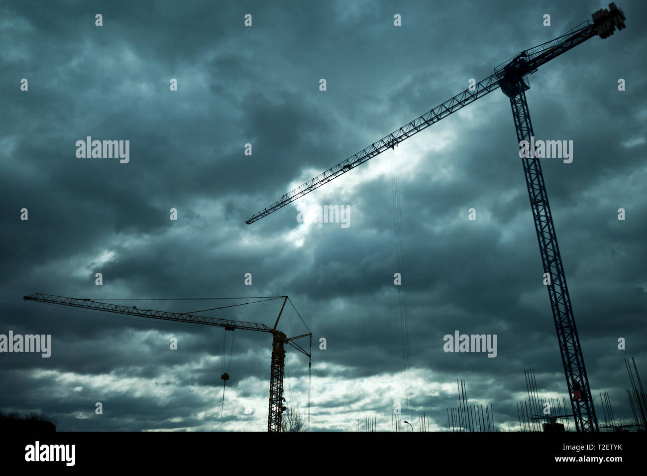 Real cranes hi-res stock photography and images - Alamy