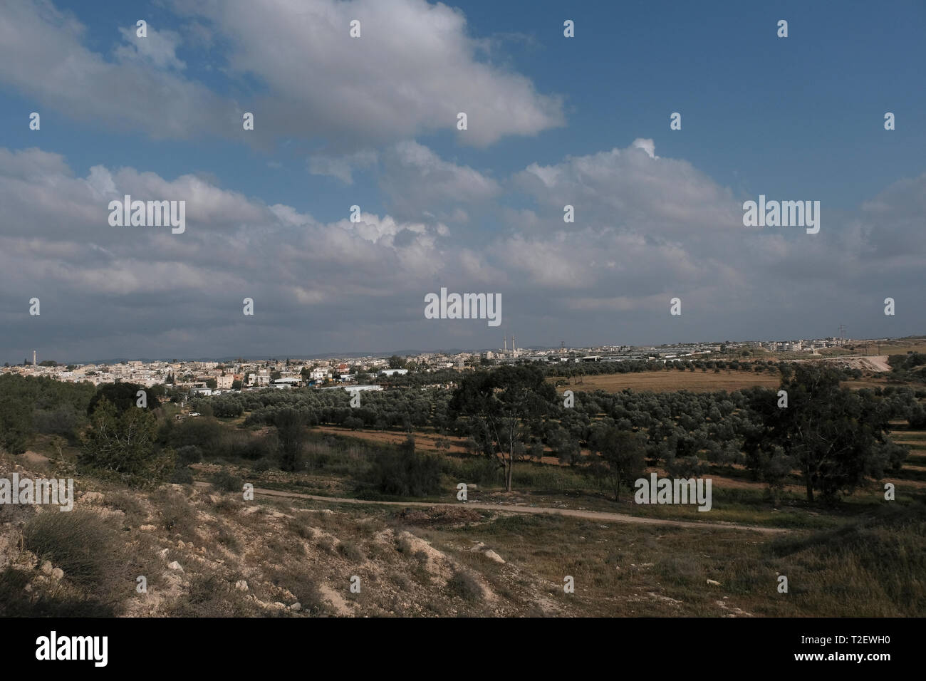 Scenic view of Rahat a predominantly Bedouin city in the Negev desert ...