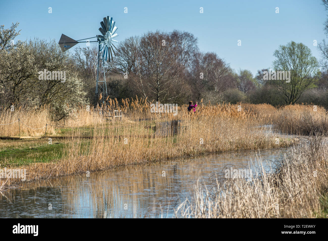 Wicken fen wind pump cambridgeshire hi-res stock photography and images ...