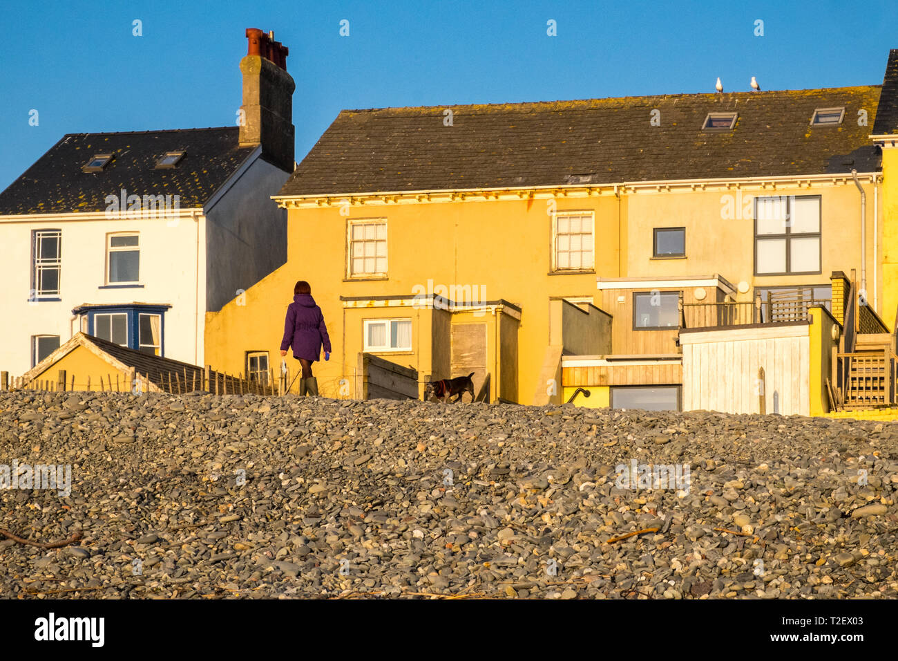 Uk flooding borth hi-res stock photography and images - Alamy