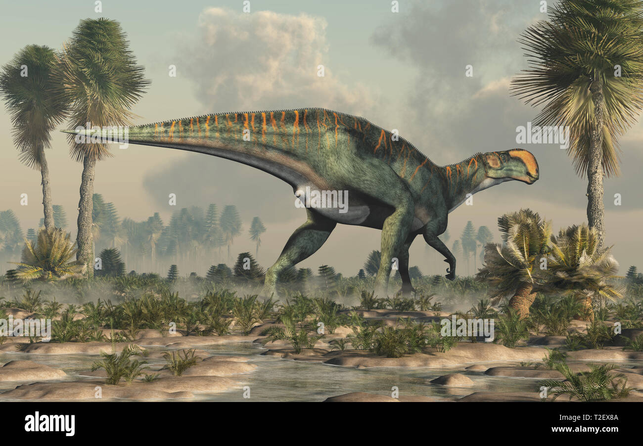 Altirhinus hi-res stock photography and images - Alamy