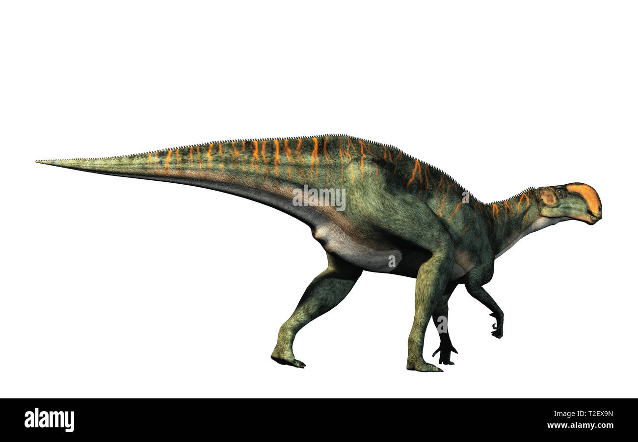 Altirhinus hi-res stock photography and images - Alamy