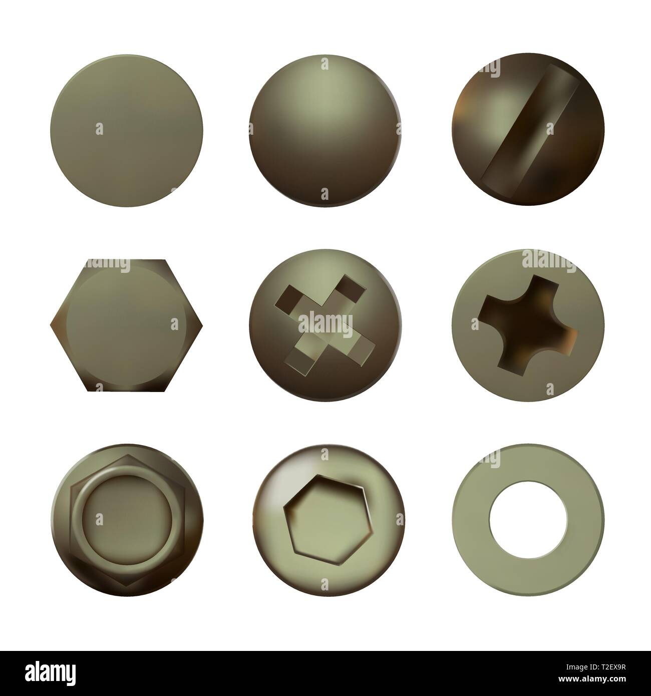 A set of metal brass screws and bolt caps vector Stock Vector Image ...