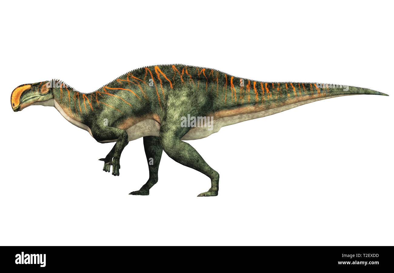 Altirhinus dinosaur hi-res stock photography and images - Alamy