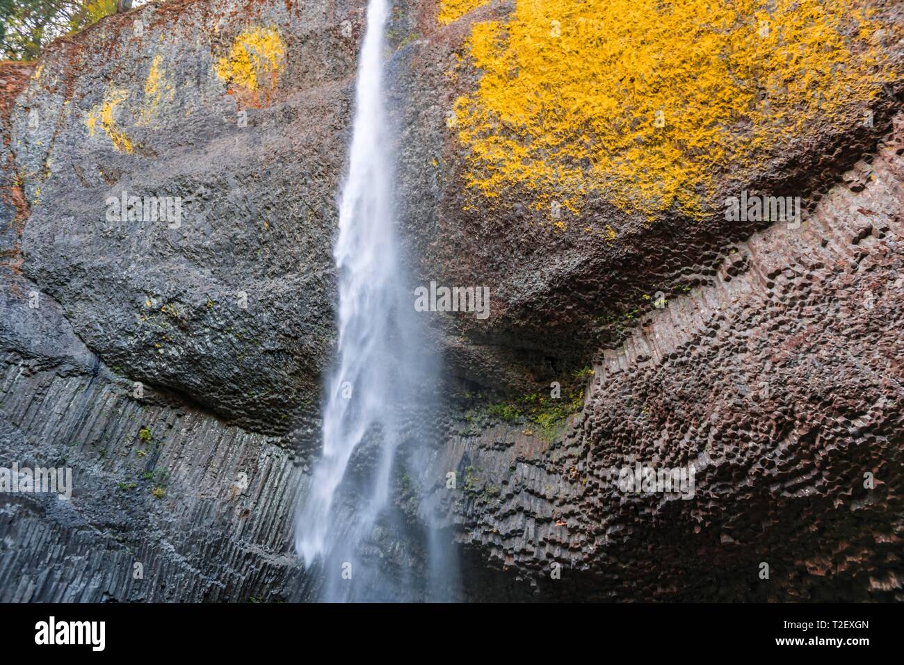 Waterfall in front of basalt rock, Latourell Falls, Oregon, USA Stock ...