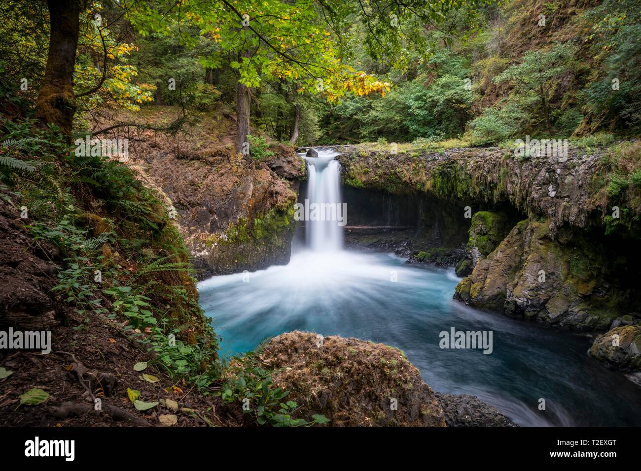 Spirit Falls, waterfall flows over rocky outcrop, basalt rock, time ...