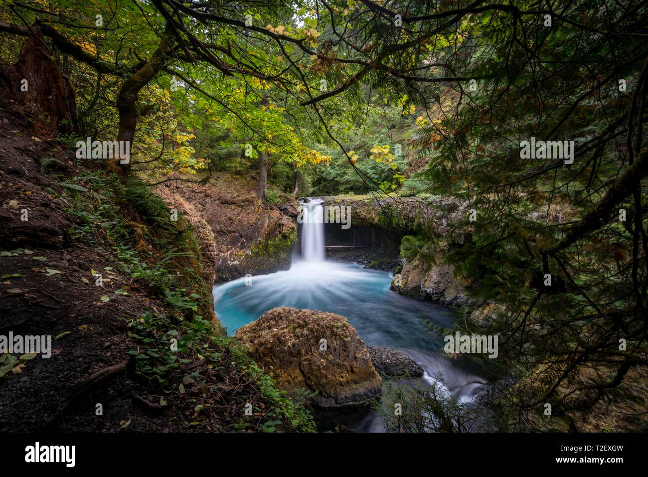 Americas spirit hi-res stock photography and images - Alamy