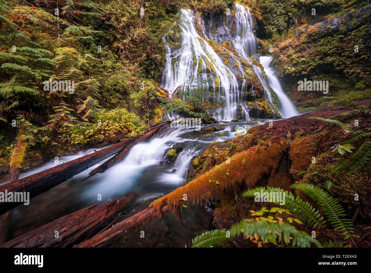 Waterfall, Panther Creek Falls, time exposure, Washington, USA Stock ...