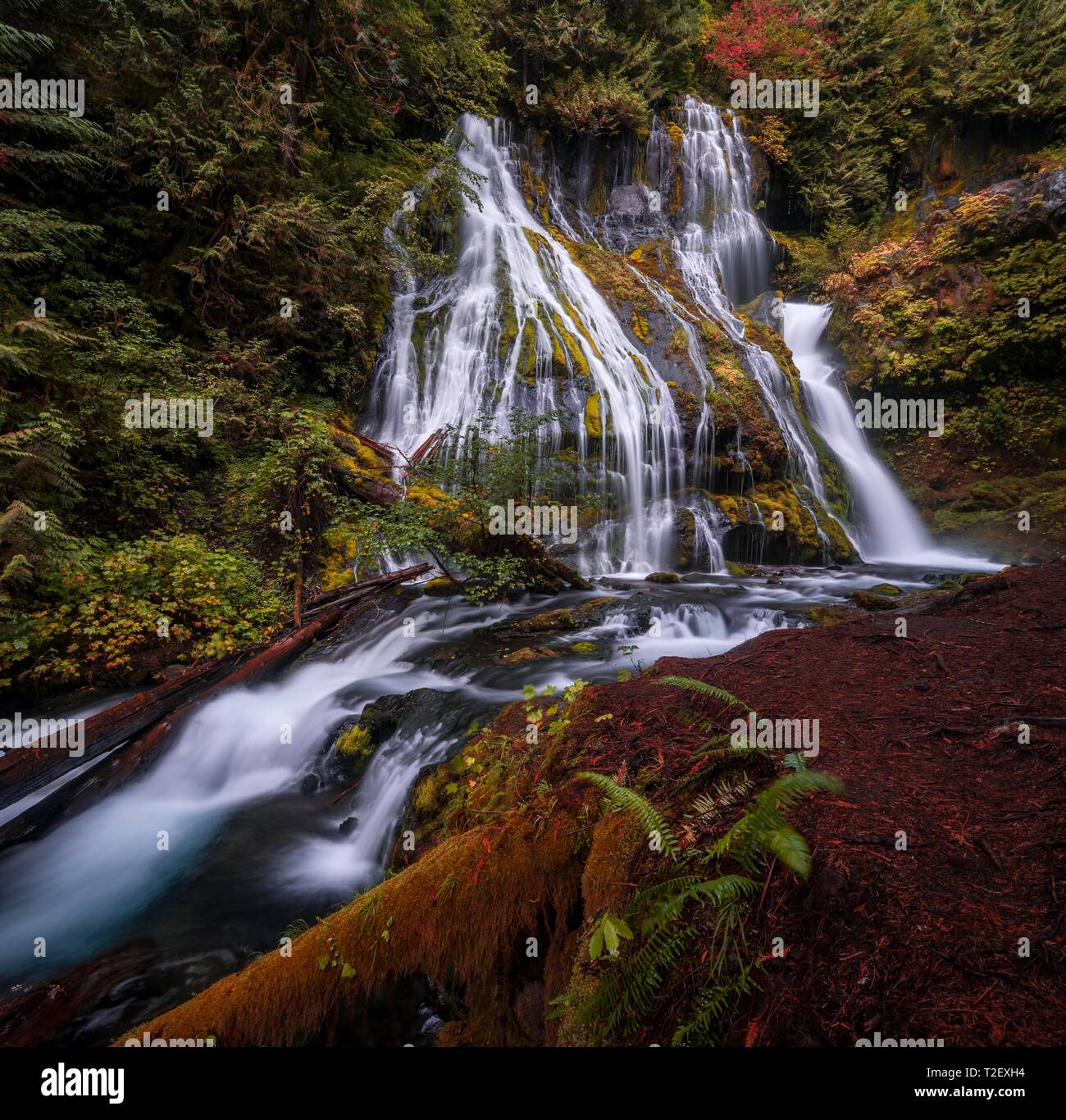 Waterfall, Panther Creek Falls, in autumn, time exposure, Washington ...