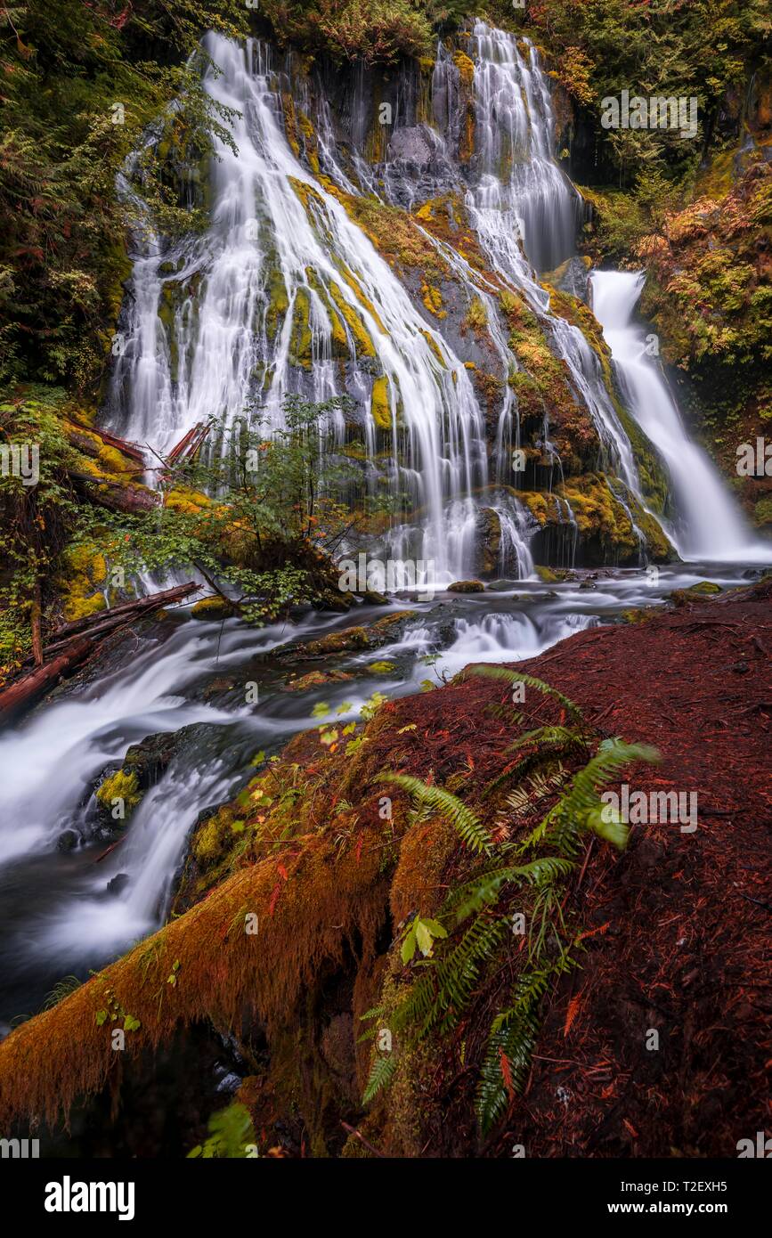 Waterfall, Panther Creek Falls, autumn coloration, Washington, USA ...