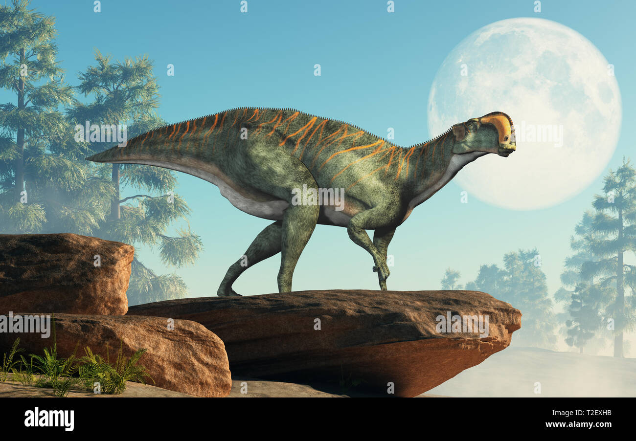 Altirhinus dinosaur hi-res stock photography and images - Alamy