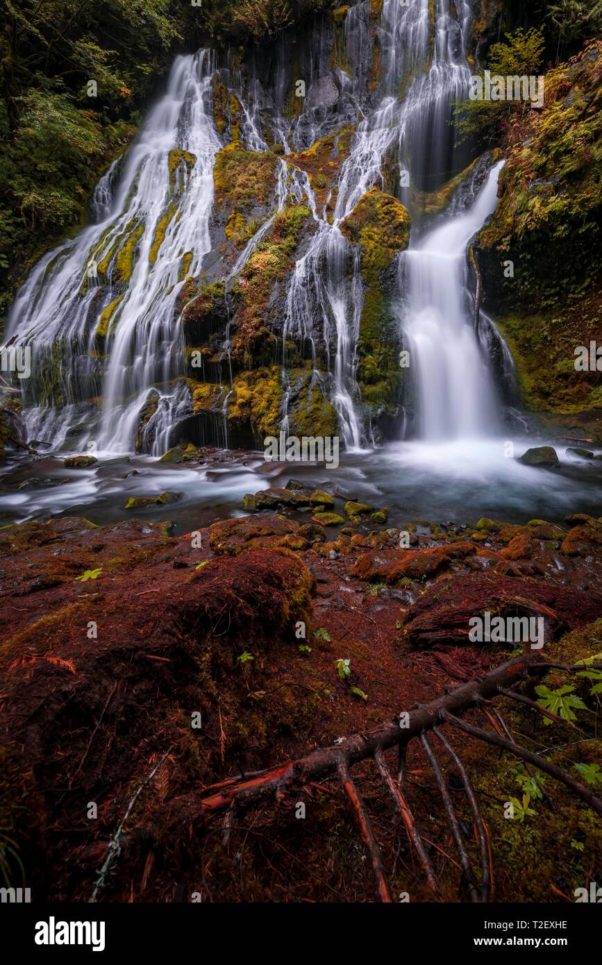 Waterfall, Panther Creek Falls, Autumn coloration, time exposure ...