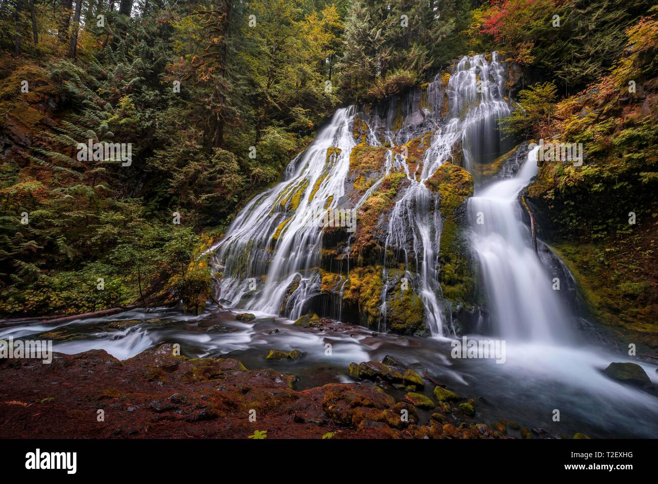 Waterfall, Panther Creek Falls, in autumn, time exposure, Washington ...