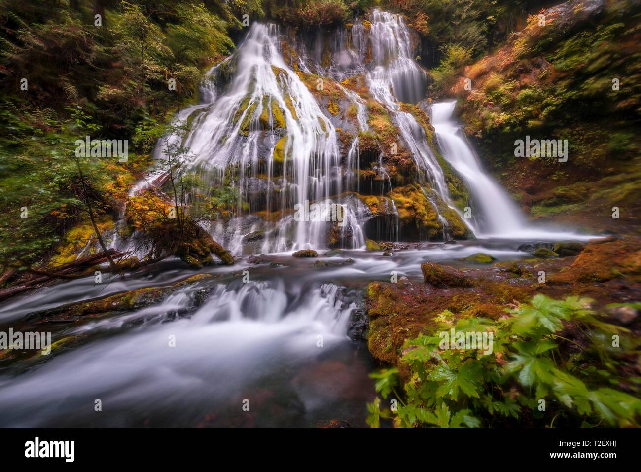 Waterfall, Panther Creek Falls, time exposure, Washington, USA Stock ...