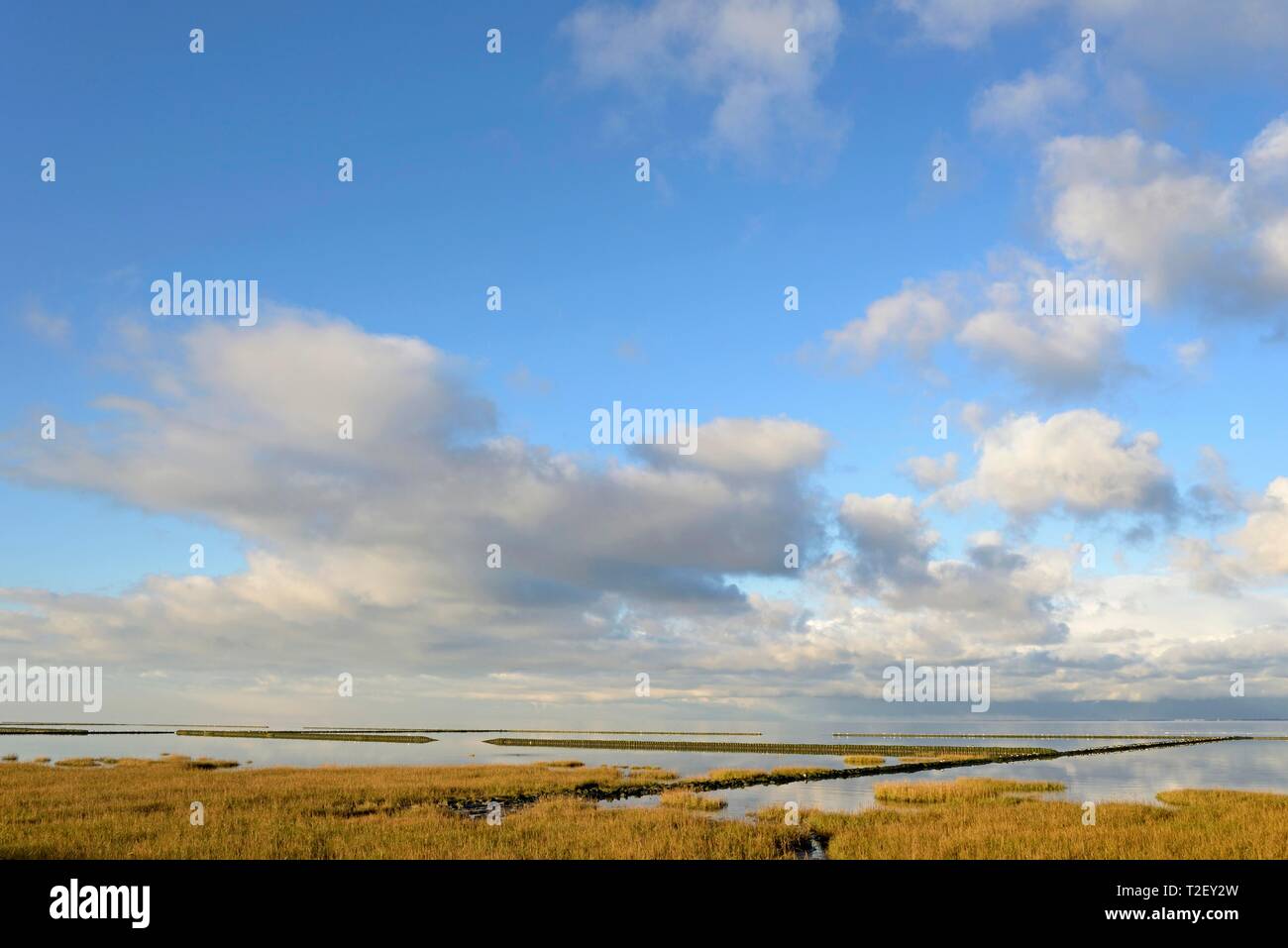 Dike fortification hi-res stock photography and images - Alamy