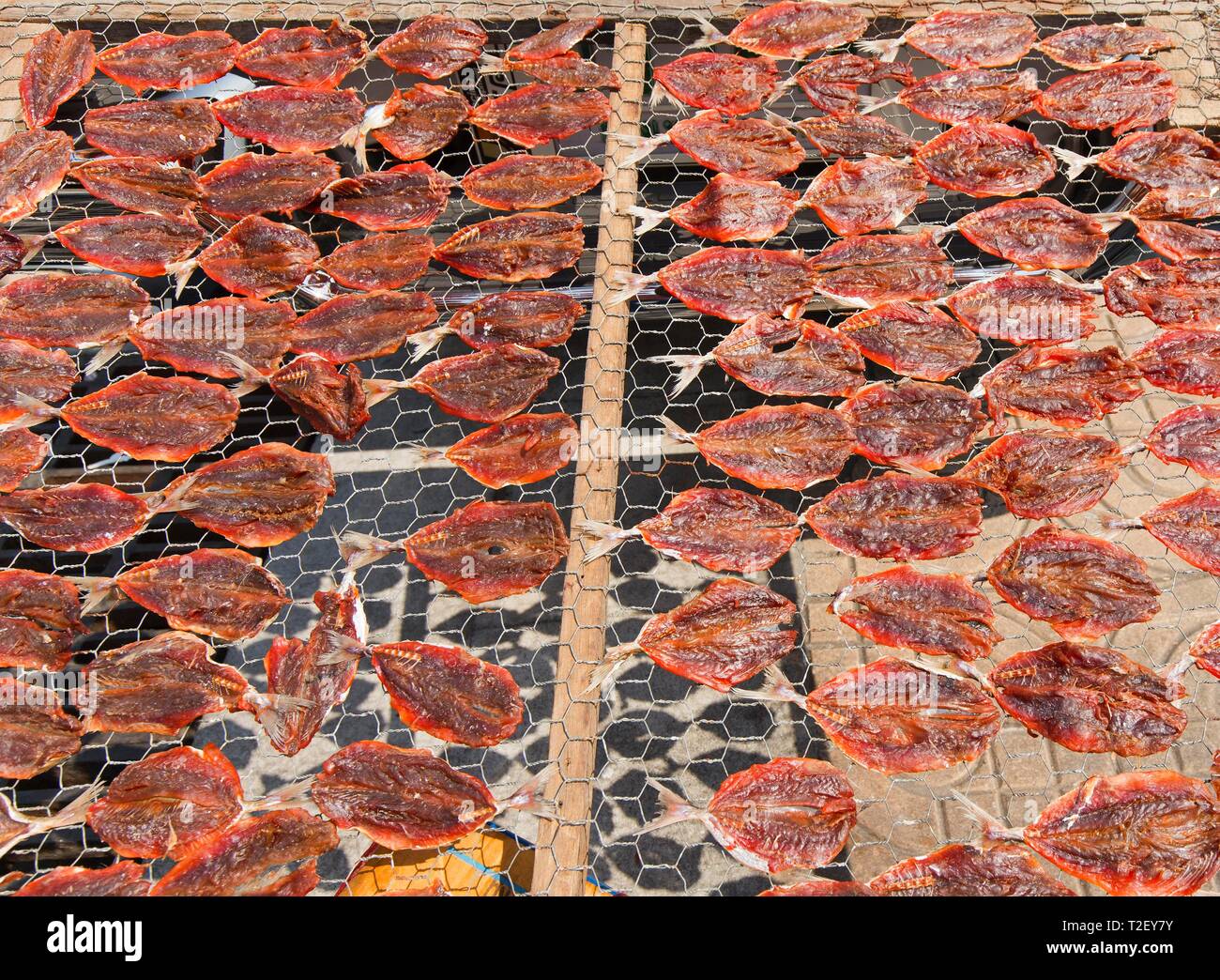 Halved raw fish dries in the sun on a grid, Bangkok, Thailand Stock ...