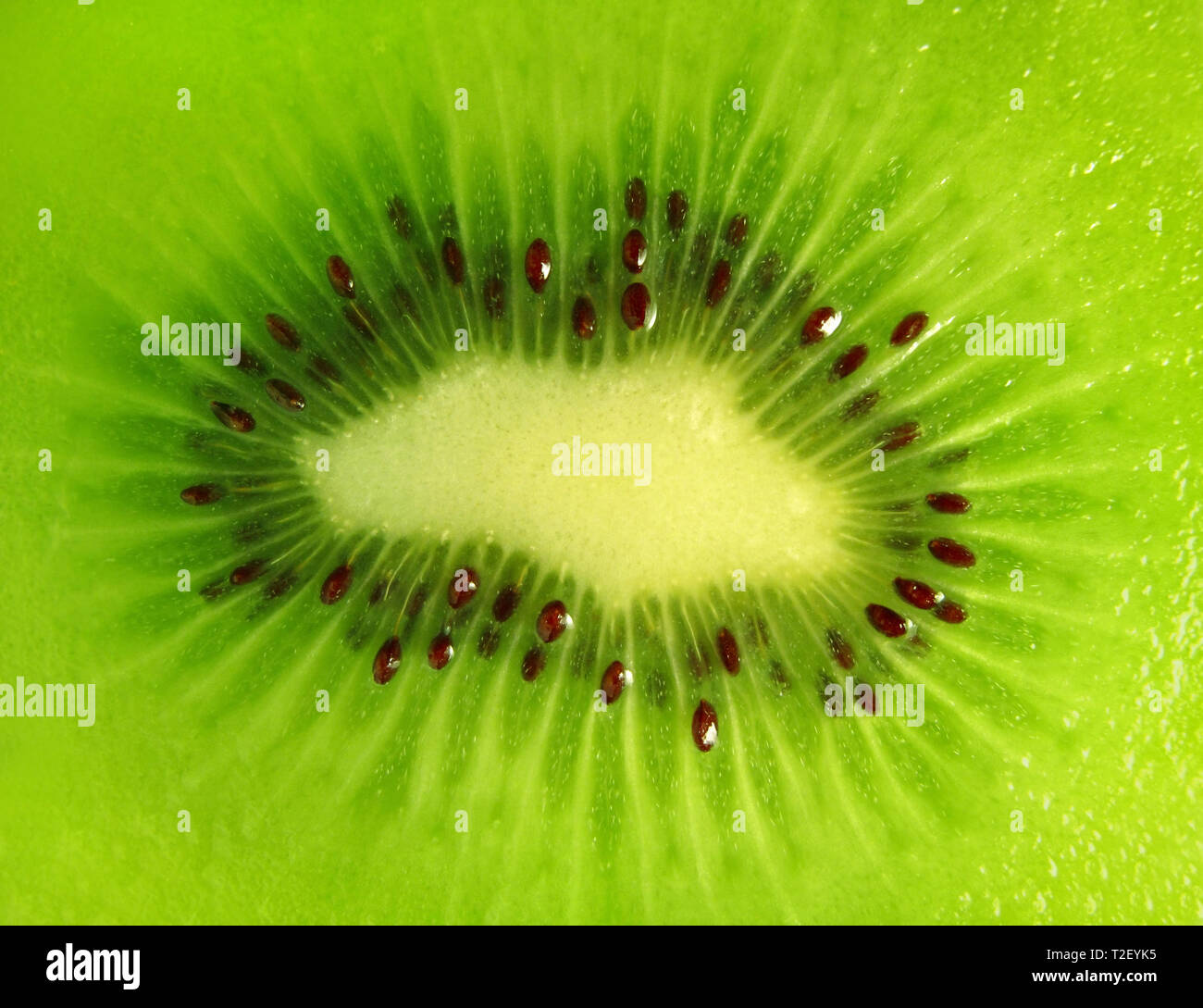 close-up of a kiwi fruit inside with seeds Stock Photo - Alamy