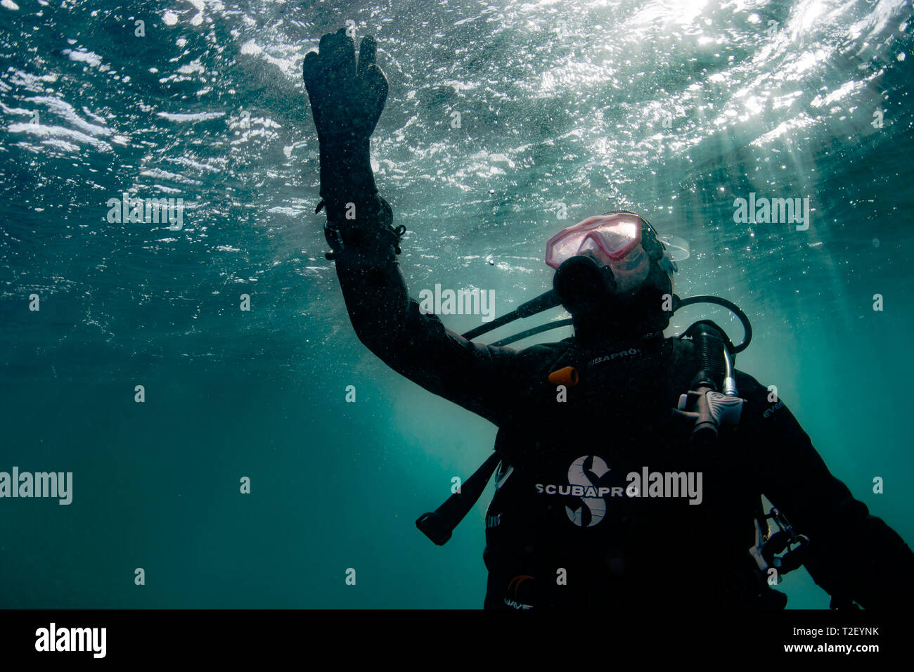 Semi dry wetsuit hi-res stock photography and images - Alamy