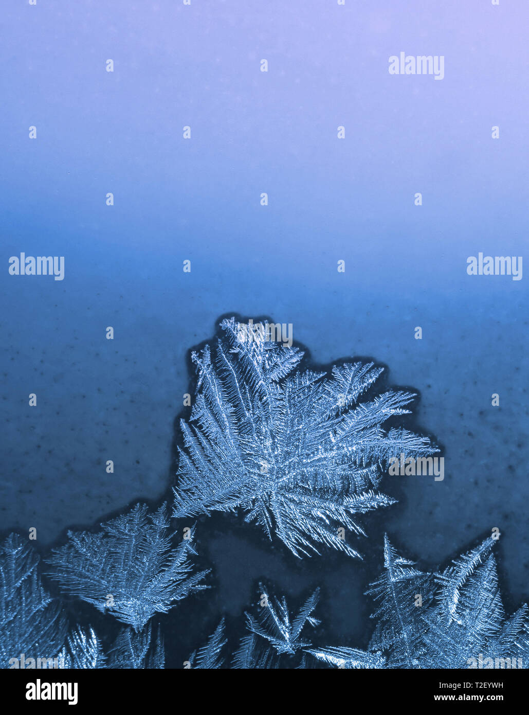 Frosted glass texture close up hi-res stock photography and images - Alamy