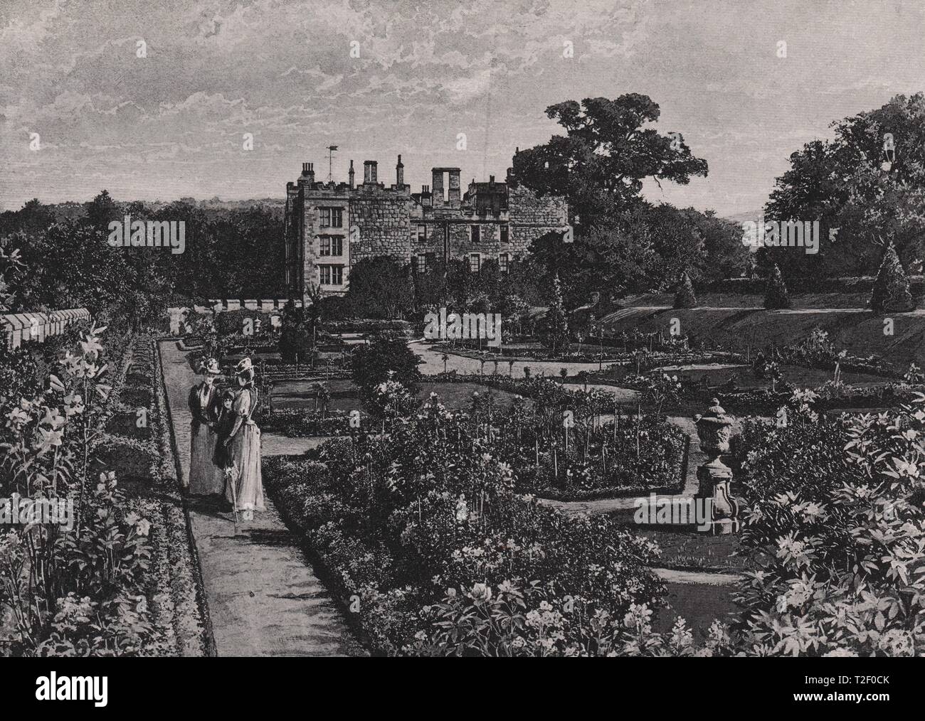 Chillingham hi-res stock photography and images - Alamy