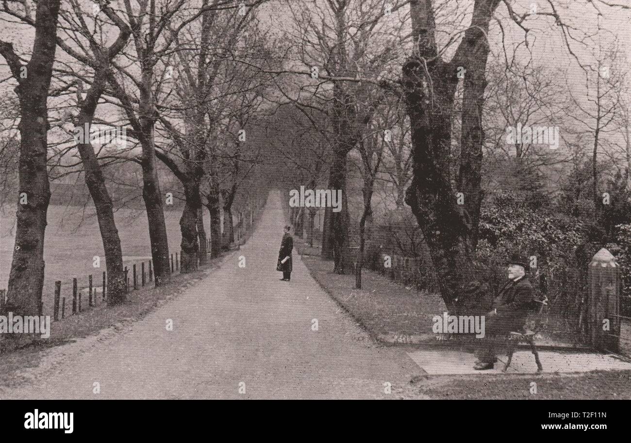 Bellahouston park glasgow hi-res stock photography and images - Alamy