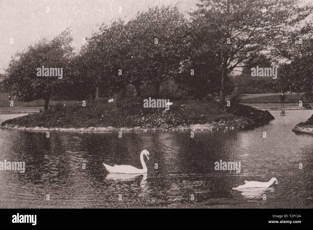 The Pond, Victoria Park, Partick Stock Photo - Alamy