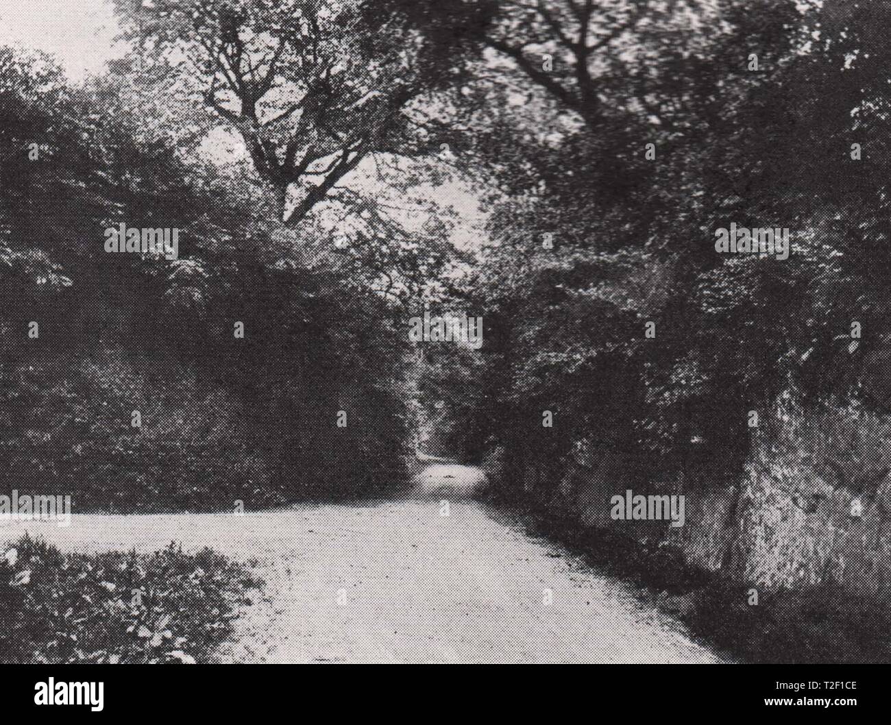 Corley Rocks and Lane, Near Coventry Stock Photo - Alamy