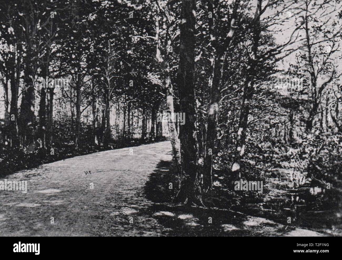 Lytham green hi-res stock photography and images - Alamy