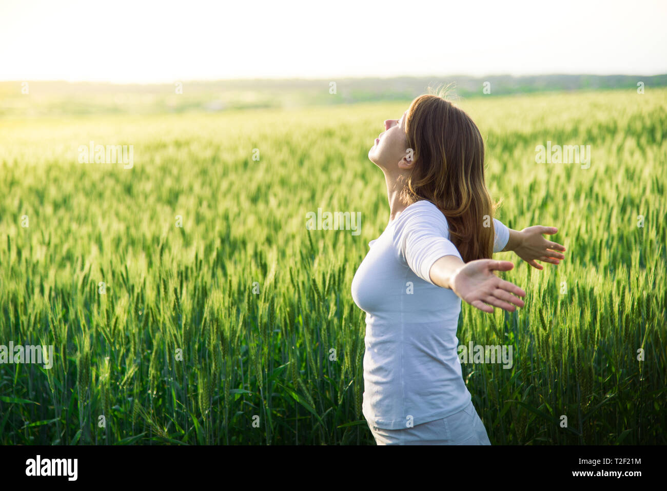 girl in field at summer Stock Photo - Alamy